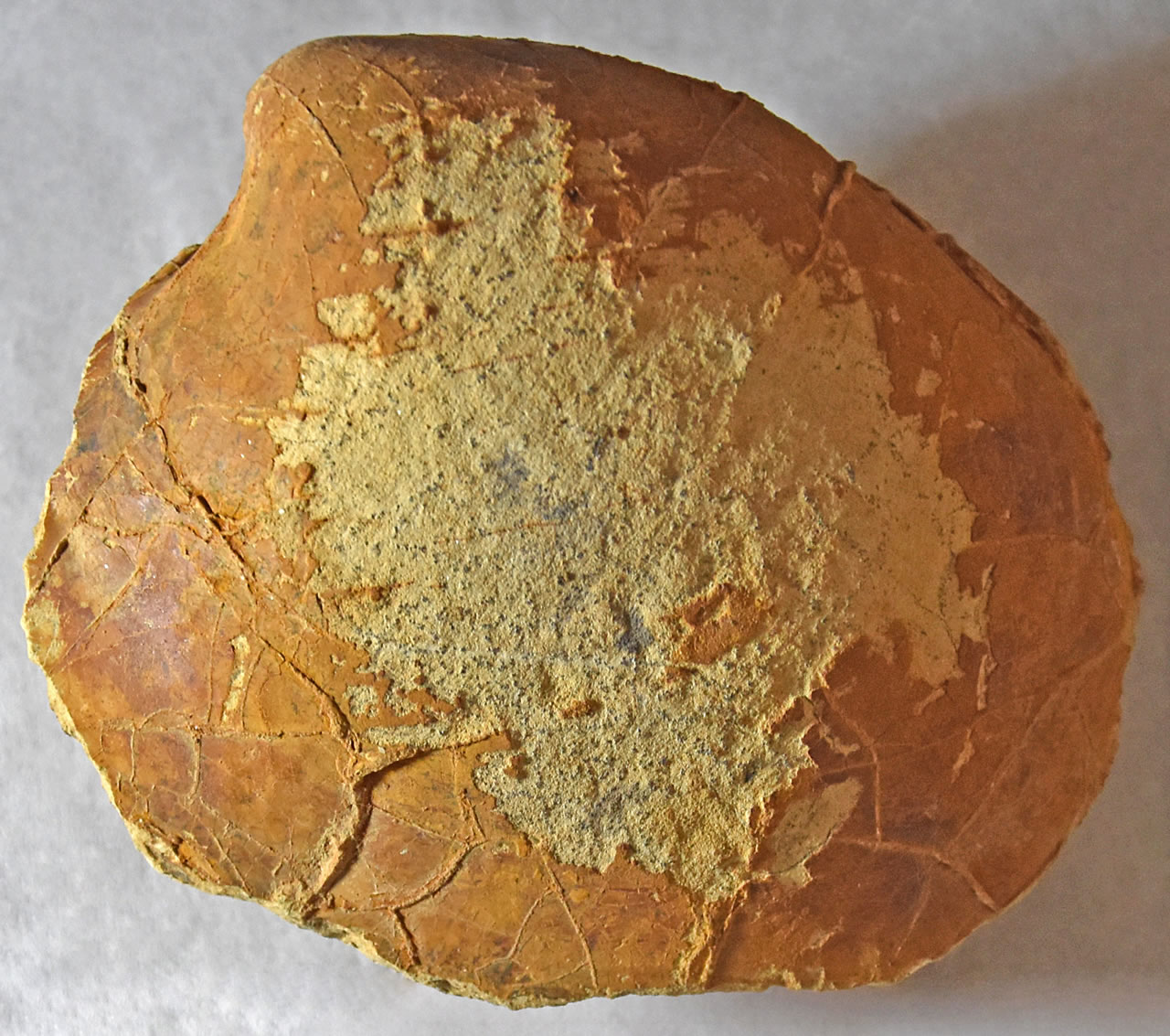 History of the Earth